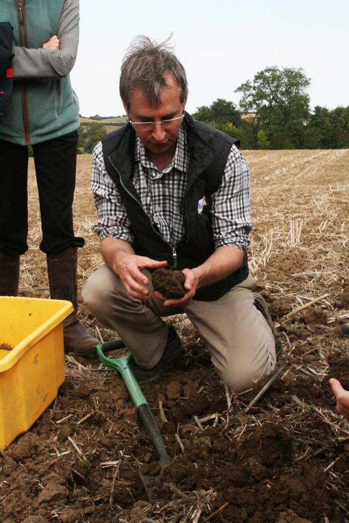 Soil Analysis and Management - Agricology