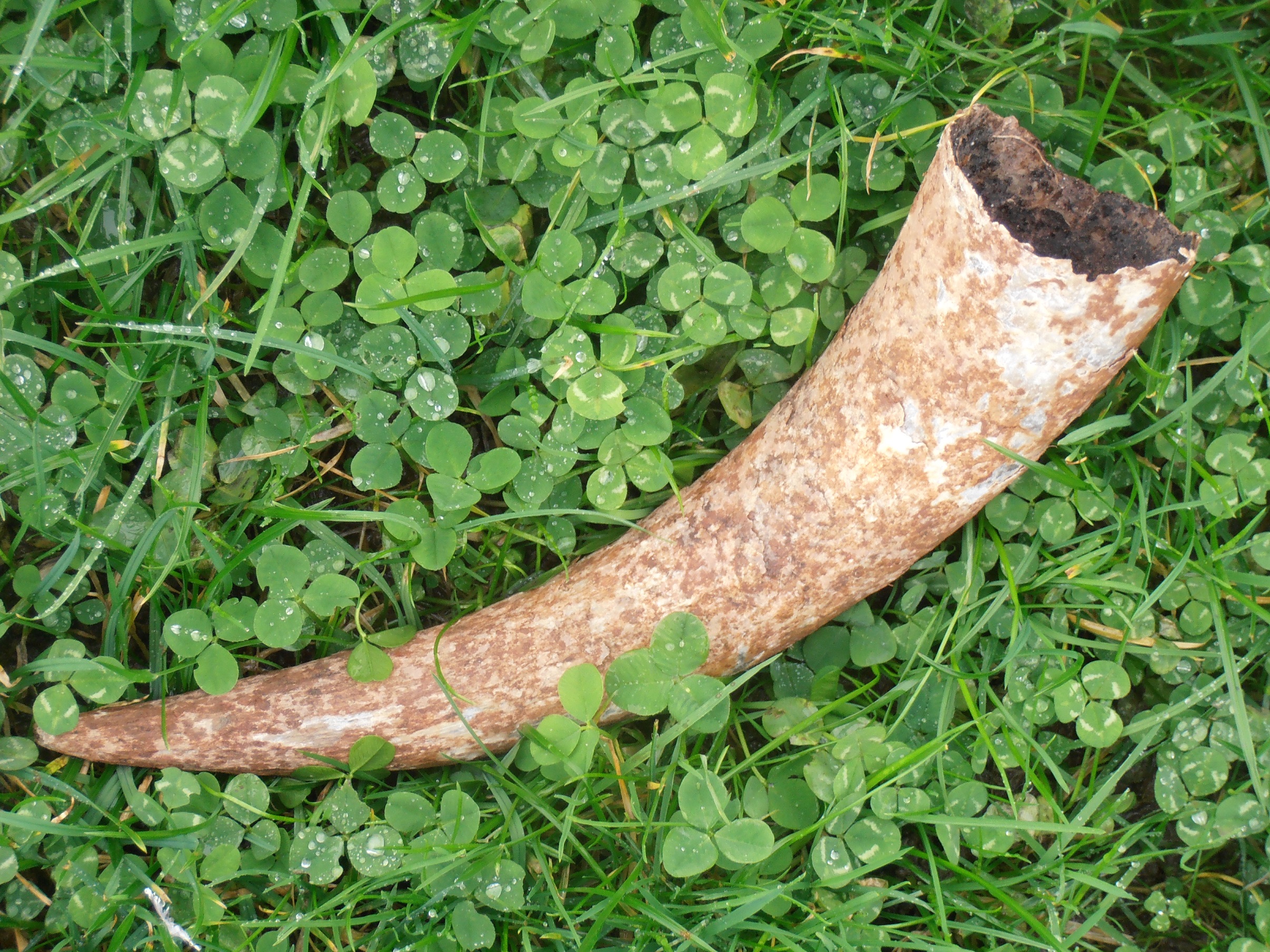 Biodynamic preparations - Agricology