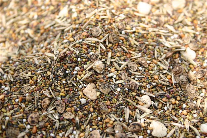 Seed sources for grassland restoration - Agricology