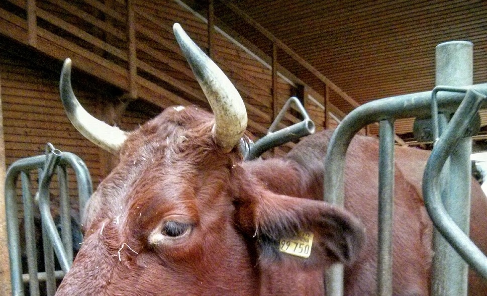 What Is Biodynamics? - Agricology