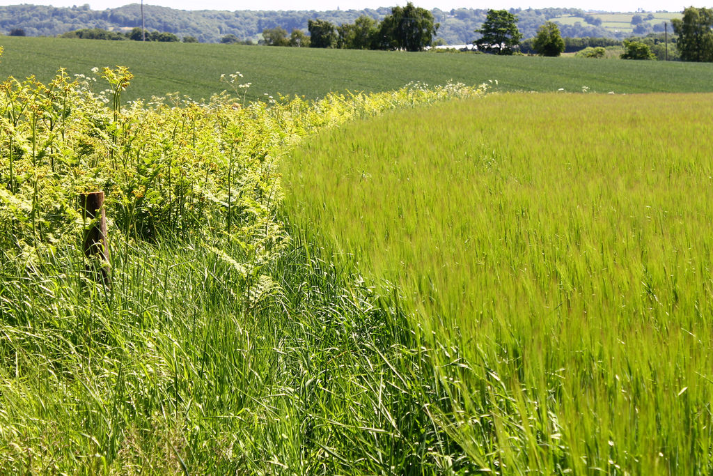 What is LEAF’s Integrated Farm Management (IFM)? - Agricology