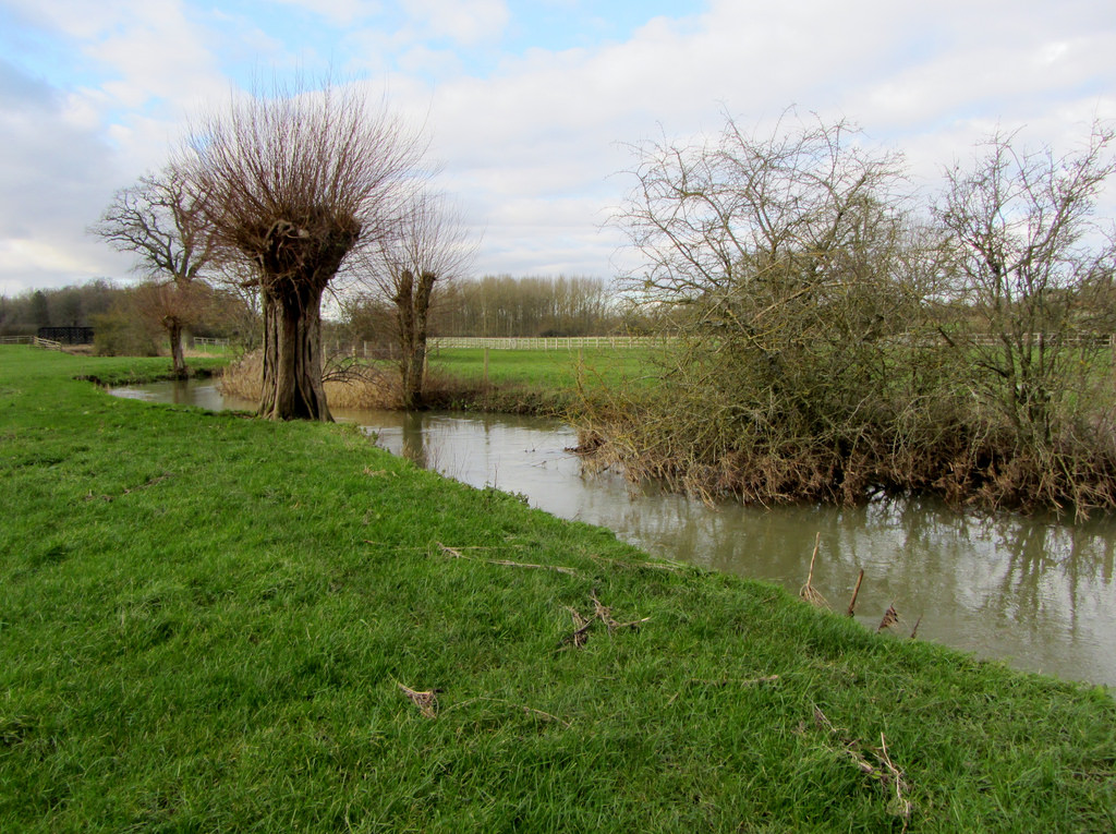 Riparian buffer strips - Agricology