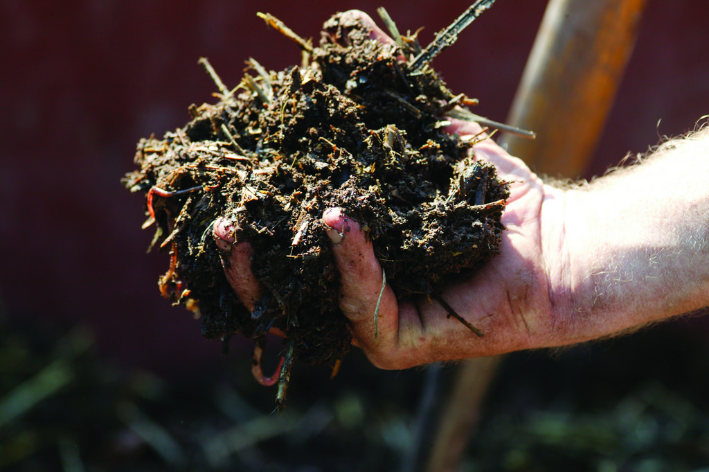 Seven Ways to Save Our Soils - Agricology