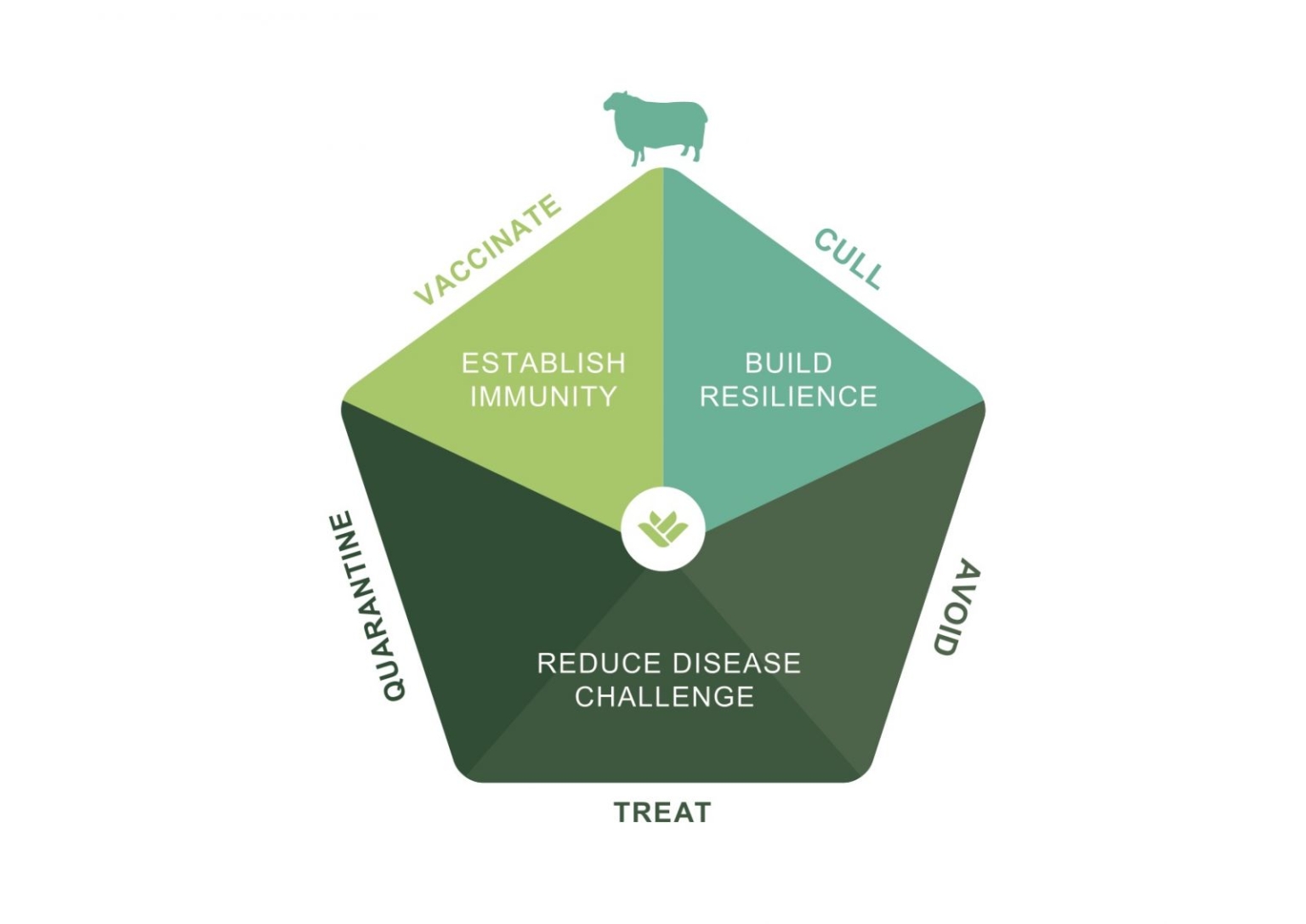 The Five Point Plan for tackling sheep lameness - Agricology