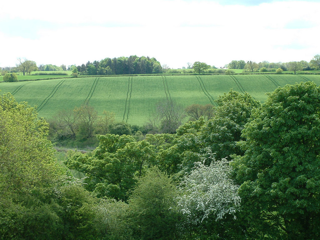 Agroforestry: Farming with Trees in Cornwall - Agricology
