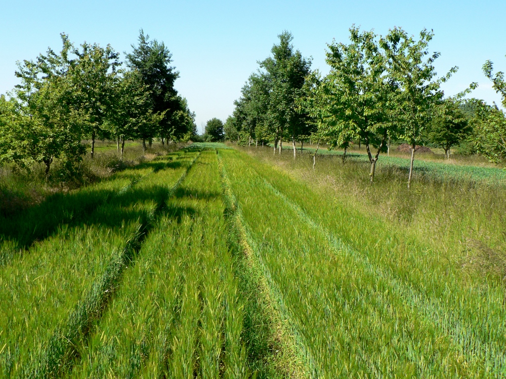 Agroforestry Open Weekend 2023 - Agricology