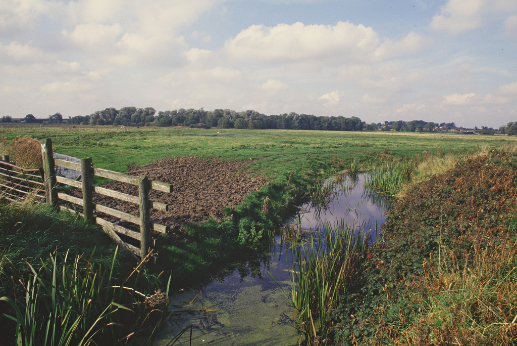 Illustrated guide to water courses beside grassland - Agricology