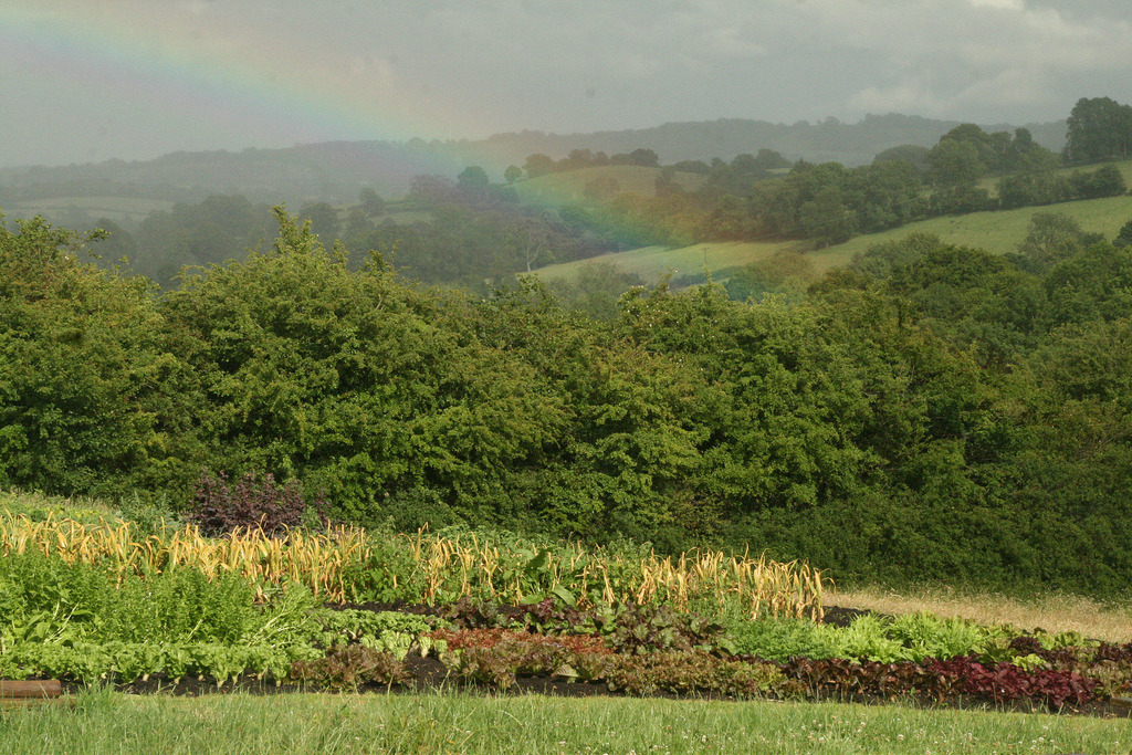 Is there a future for small family farms in the UK? - Agricology