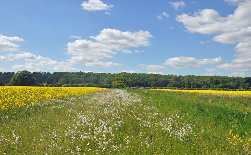 Integrated Farm Management: A Guide - Agricology