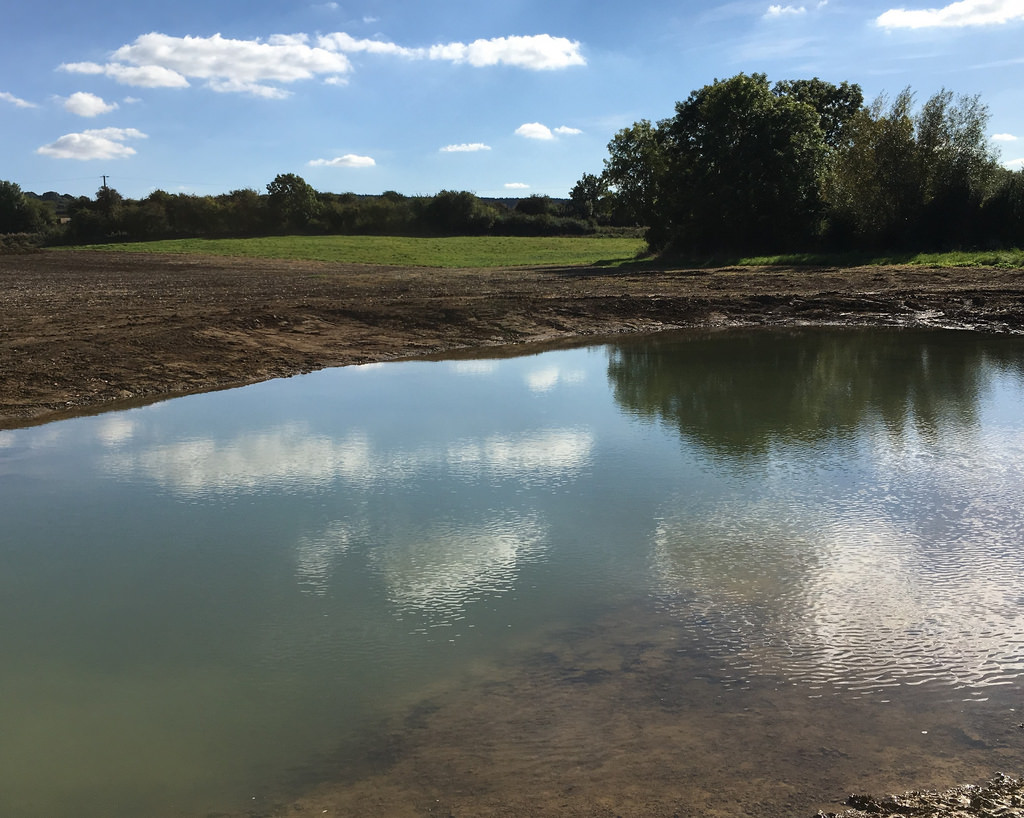 Diffuse water pollution, GHGs and ammonia emissions - Agricology