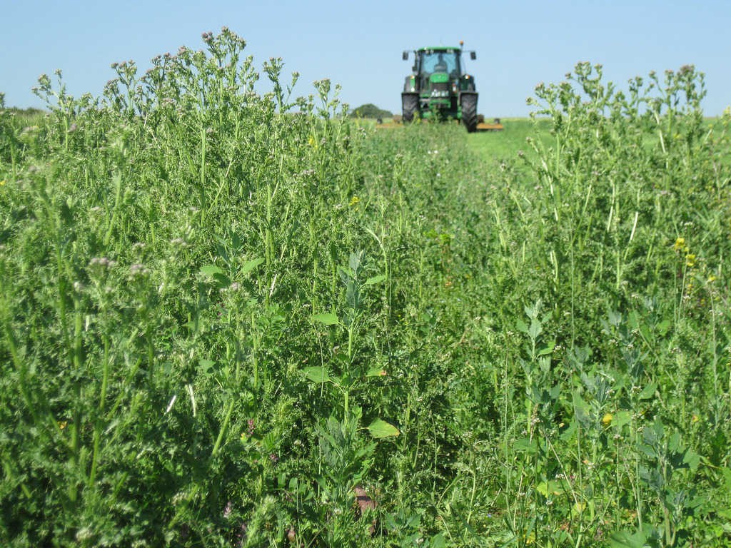 Organic weed management - Agricology