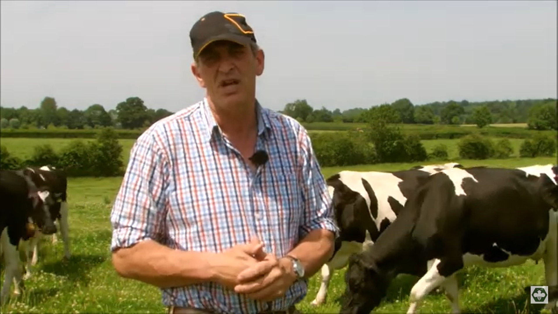 Breeding a sustainable dairy cow - Agricology