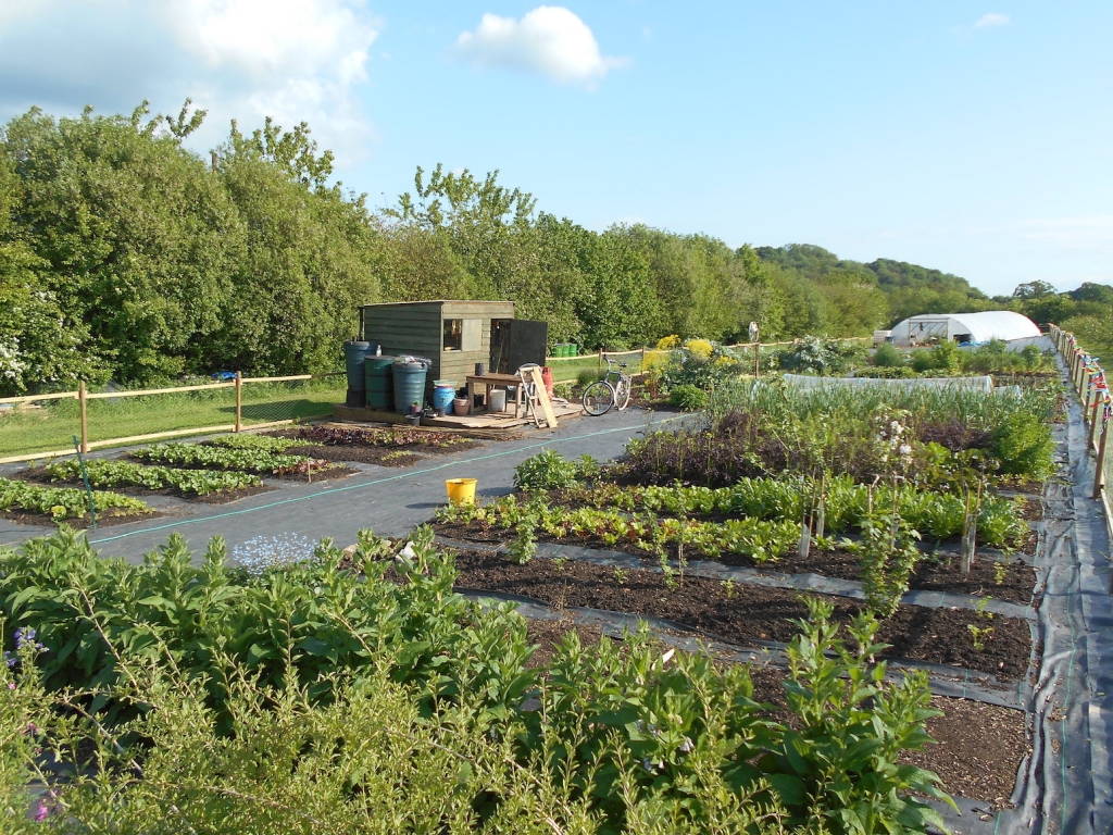 Breaking the mould in small-scale agricultural developments - Agricology