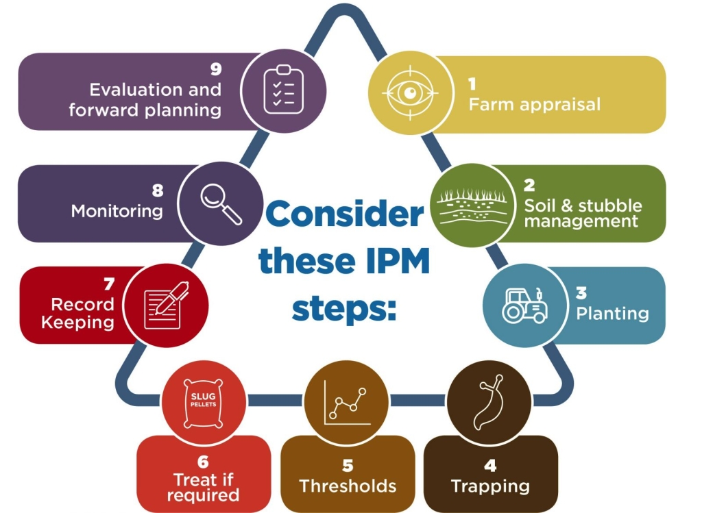 New slug control guide launched by MSG - Agricology