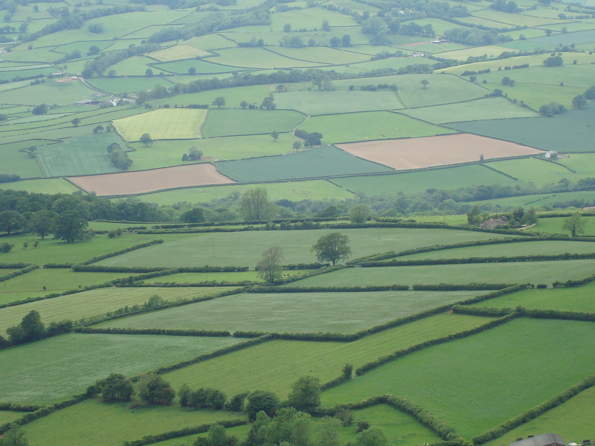 Simplifying the complexities of conservation: the Farm Wildlife ...