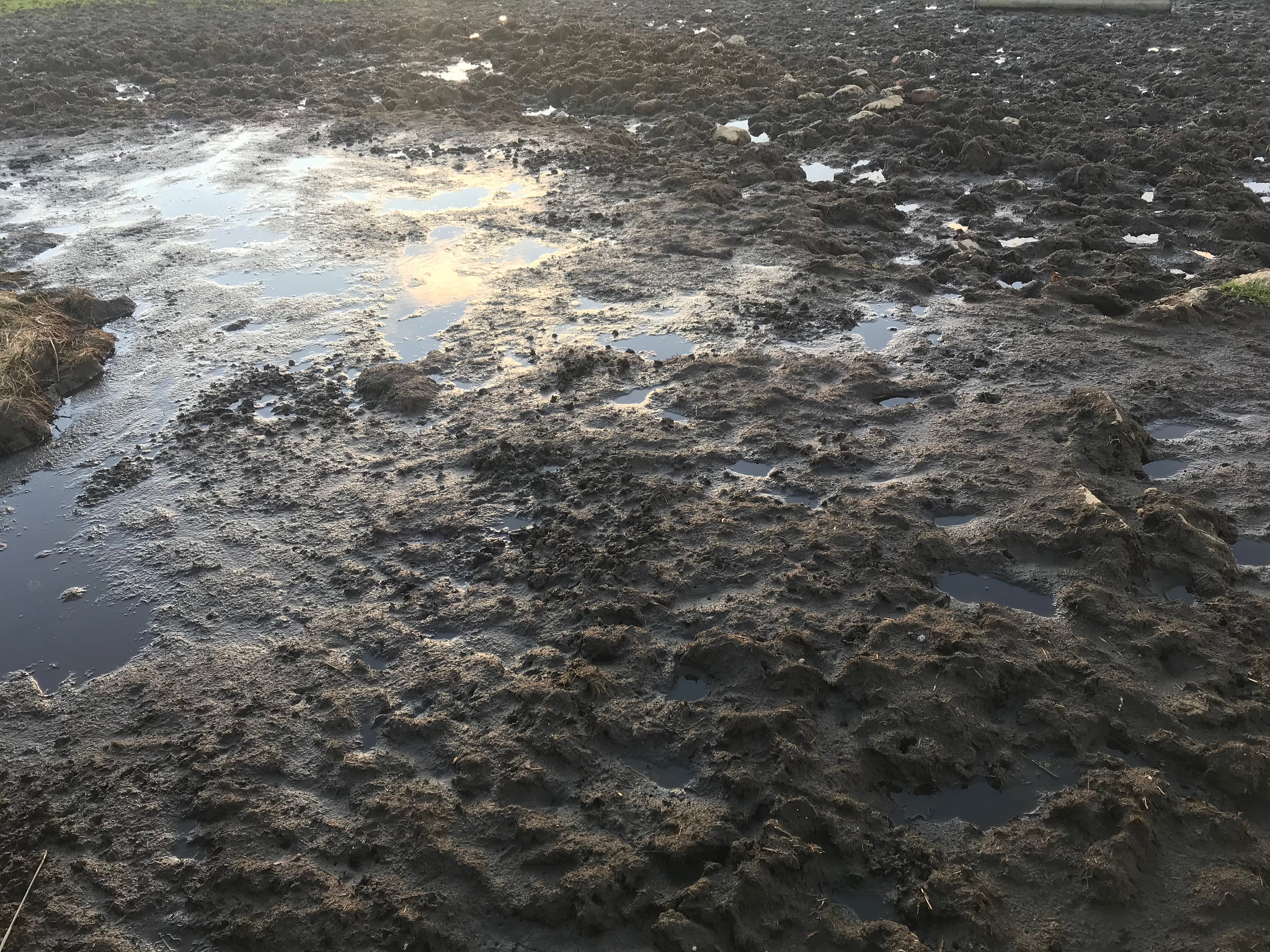 Know Your Soils #3: Monitor the impact of water run-off - Agricology