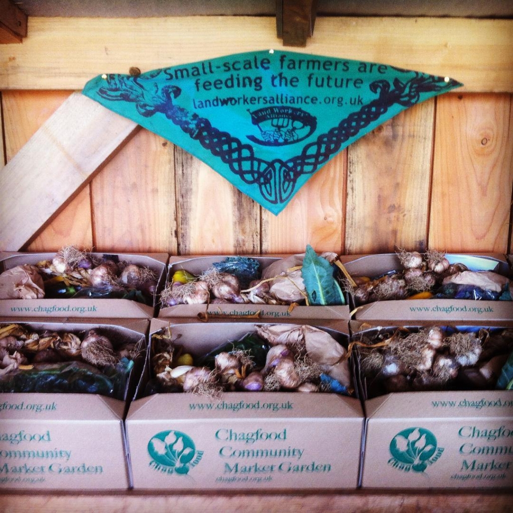 Community-supported farming, seed saving & 'the fight against blight ...