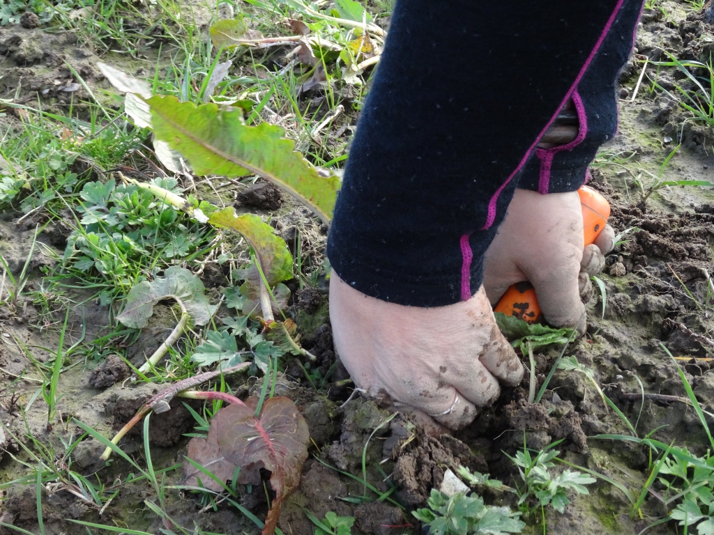 Dock Control - Agricology