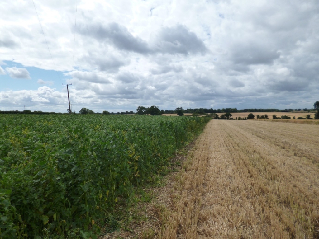 Ashton Hawker - Agricology