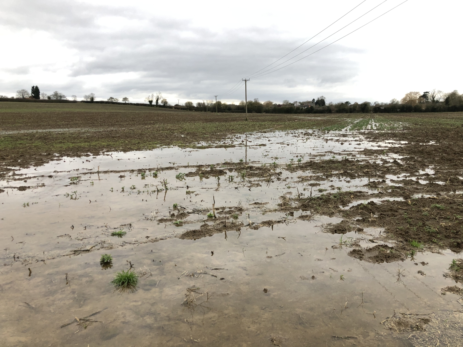 Waterlogged soil and cropping options - the route to recovery - Agricology