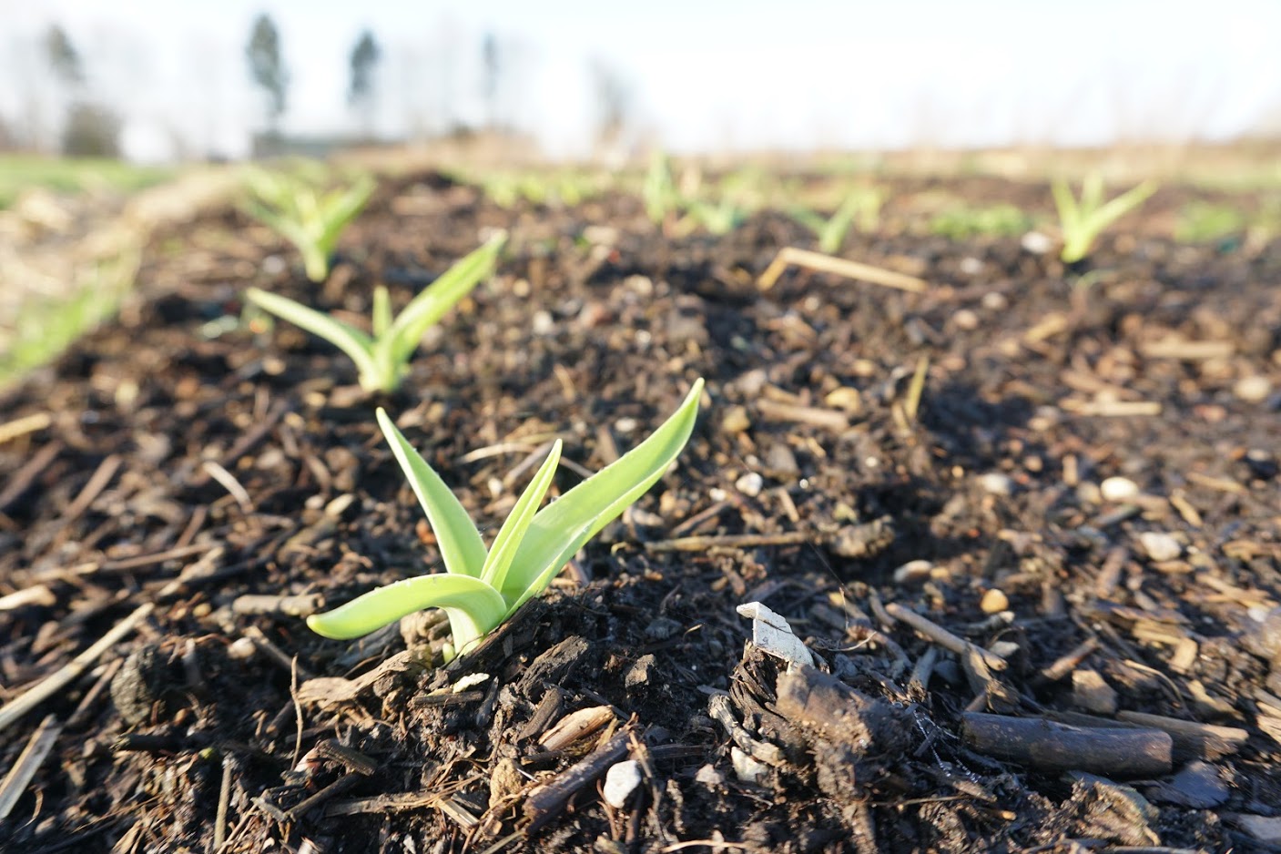 BioFarm 2024 – Ireland’s Biological Farming Conference - Agricology