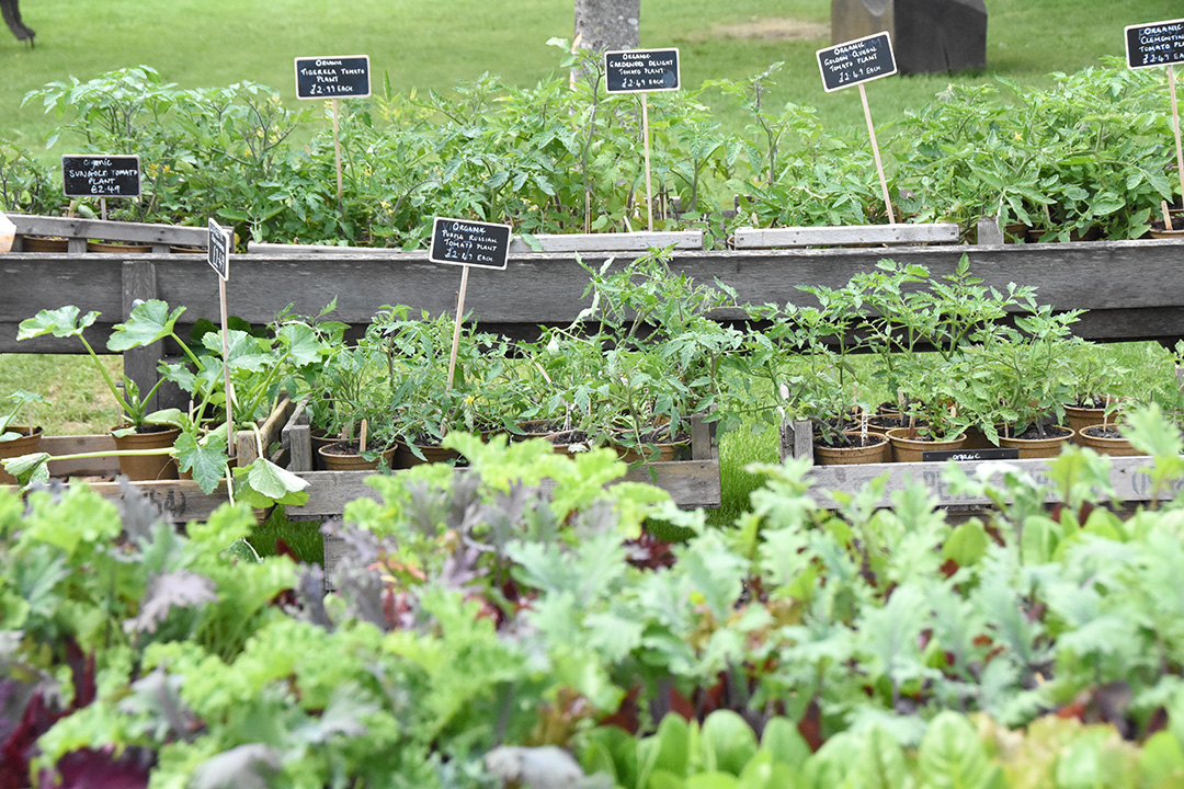 The future of sustainable farming - Colin Tudge & Ruth West - Agricology