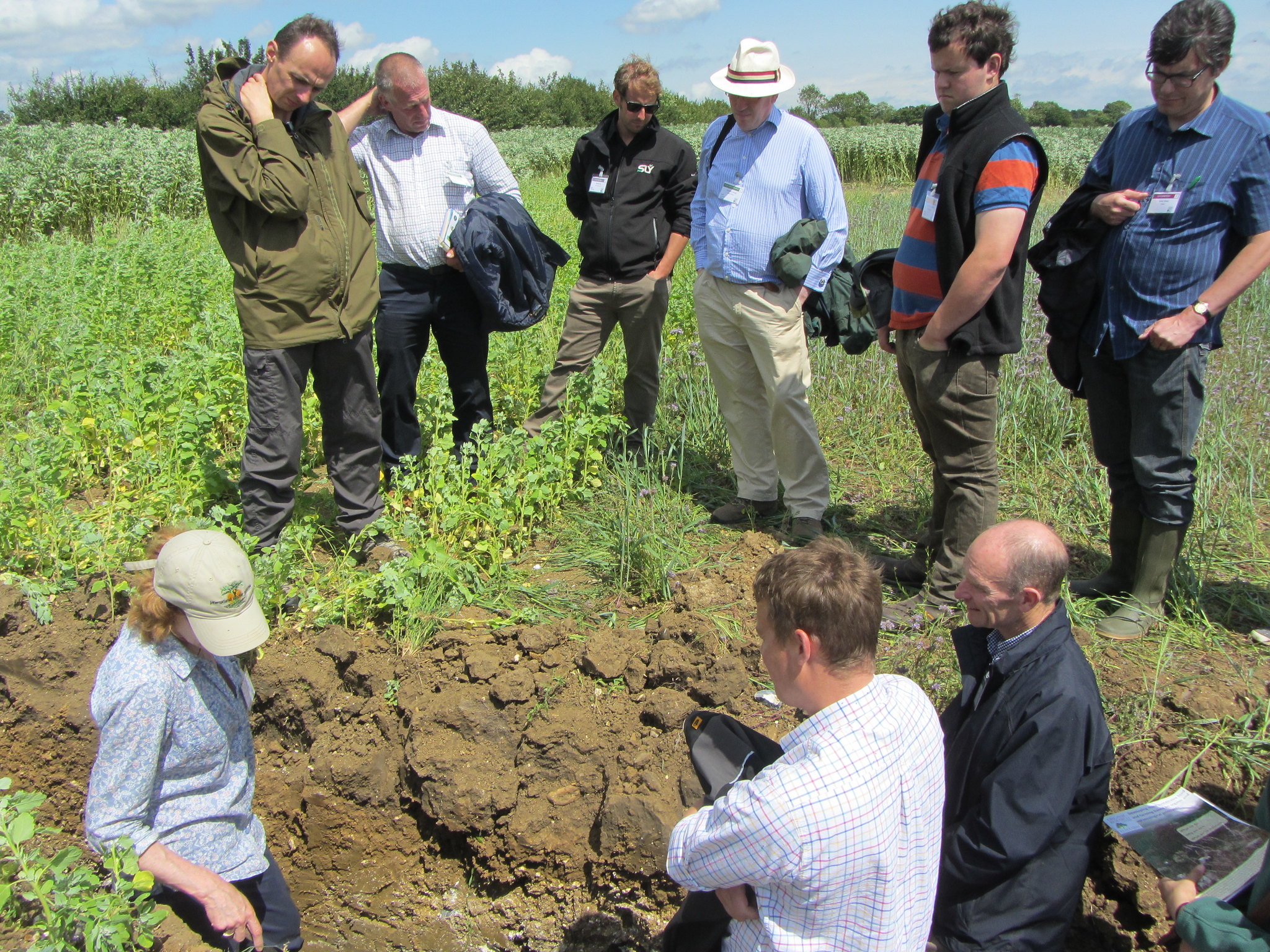 Which nutrient management system to use? - Agricology