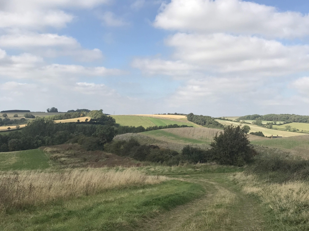 Land Sharing and Sparing - Agricology