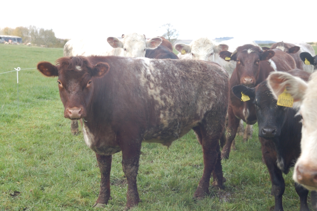 Simon Hare - Agricology