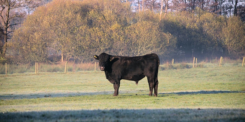 Fordhall Farm Visit - Agricology