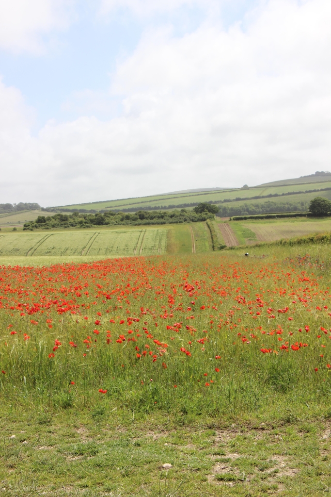 Encouraging Habitat Management and Conservation Methods that Positively ...