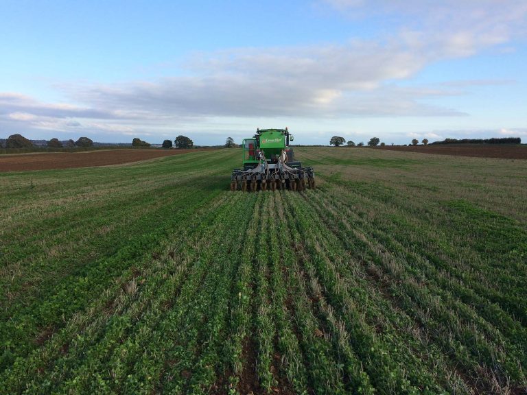 Living Mulches - Technical Guide - Agricology