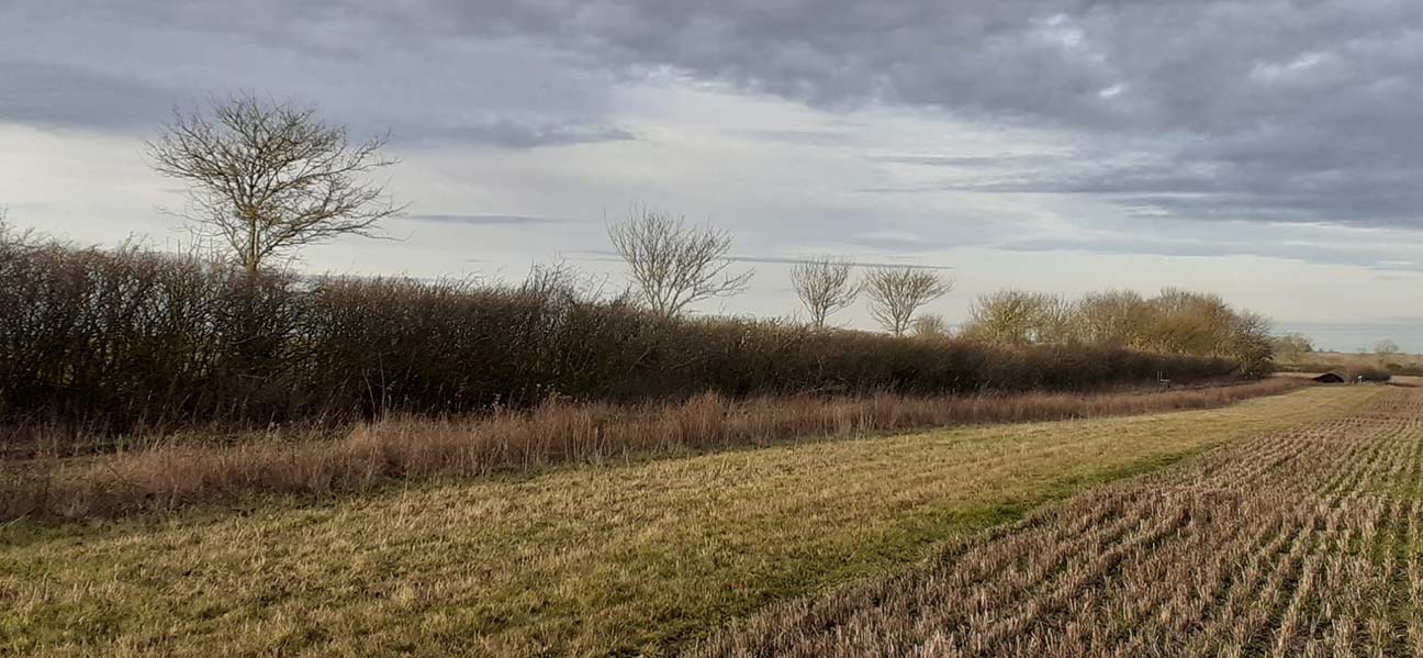 Six key actions to restore nature on farmland - Agricology