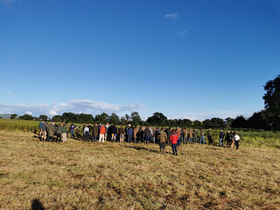 An interview with Stuart Johnson - Agricology