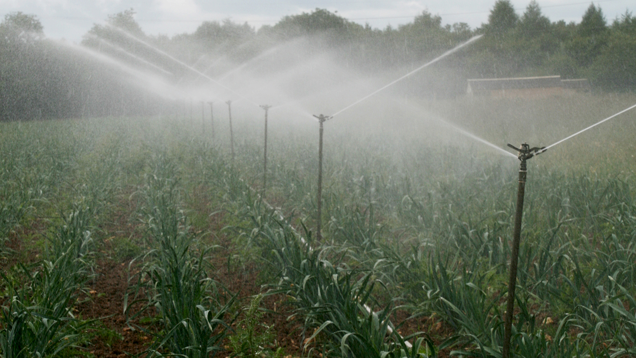 Irrigation: a guide for new growers - Agricology