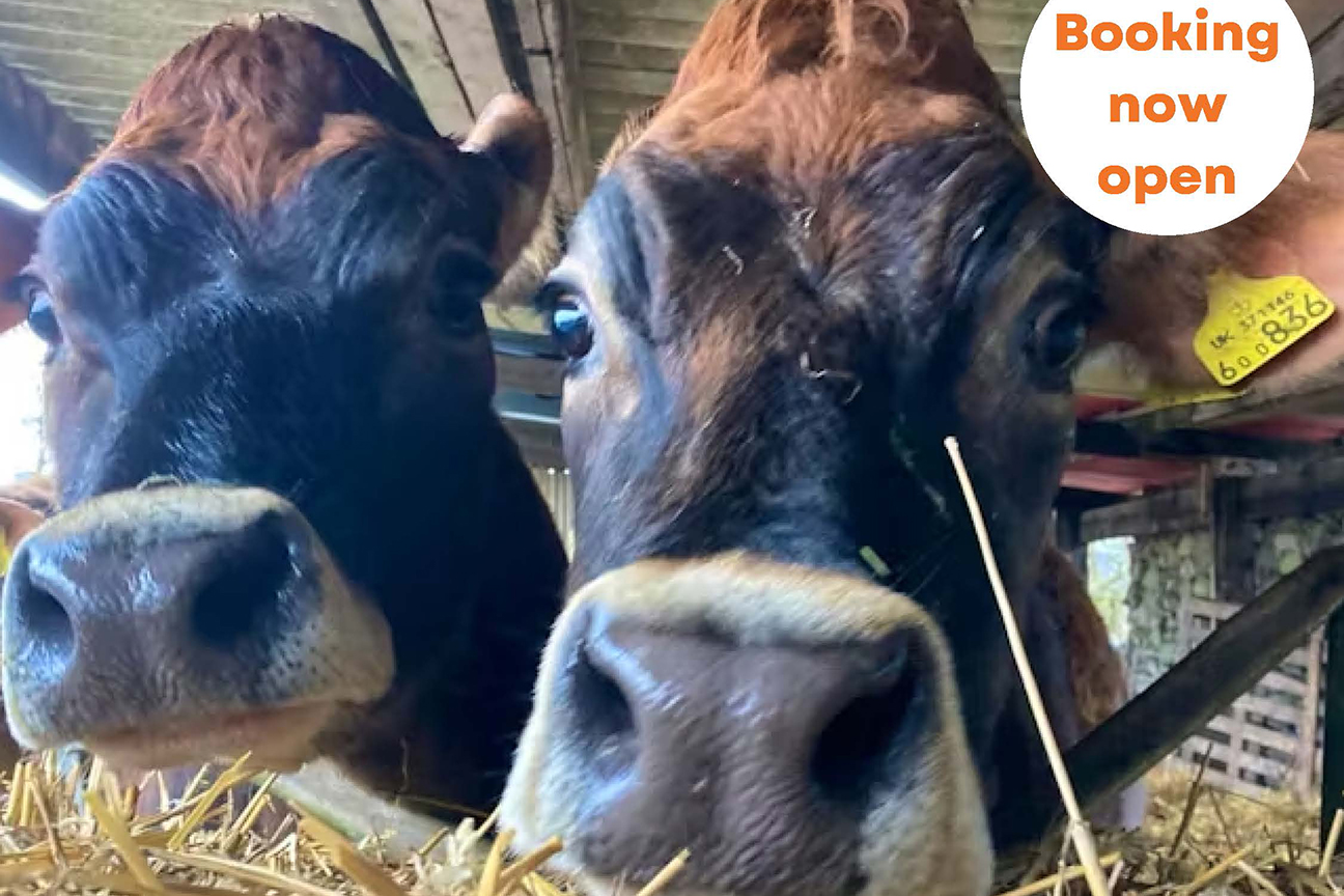 Emergent Generation Peak District Weekend - Agricology