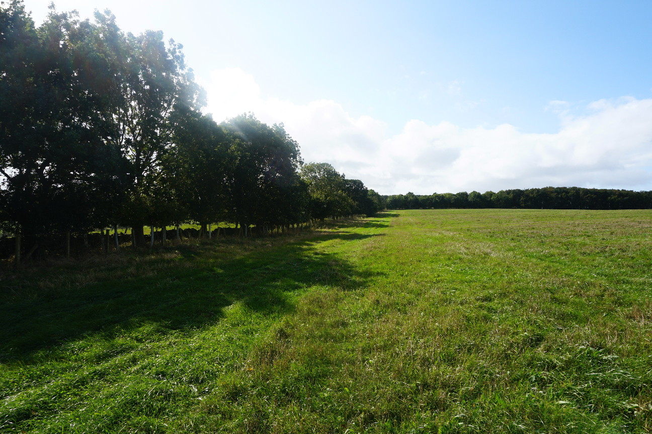 Countryside COP4: 04 - 08 November 2024 - Agricology