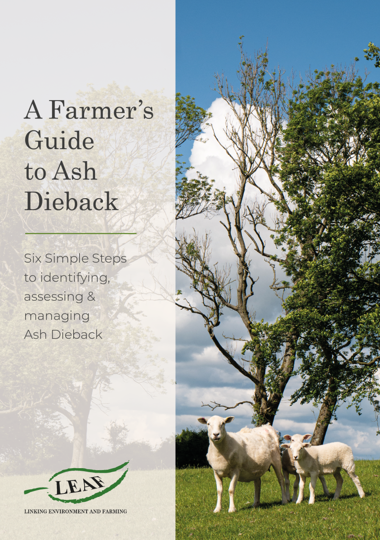 A Farmer's Guide to Ash Dieback - Agricology