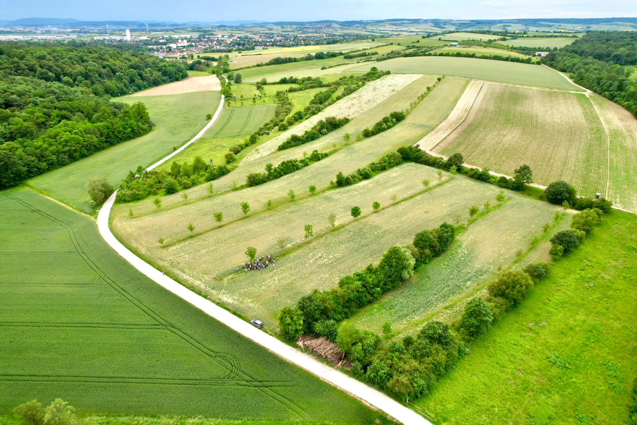 EURAF 2024 - shifting the dial of agroforestry from niche to mainstream ...