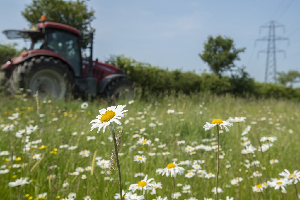 Nature-Friendly Farming in Action - Agricology