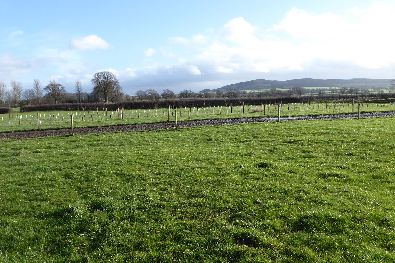 Future Proofing Dairy Farms Through Landscape Design - Agricology