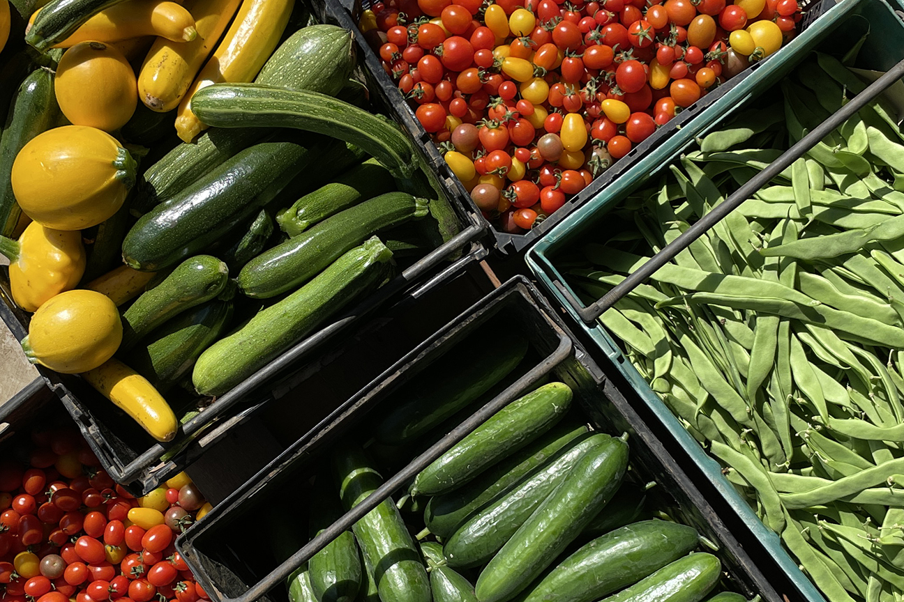Keep it Lean: an on-farm workshop on veg boxes and caterpillar tunnels ...