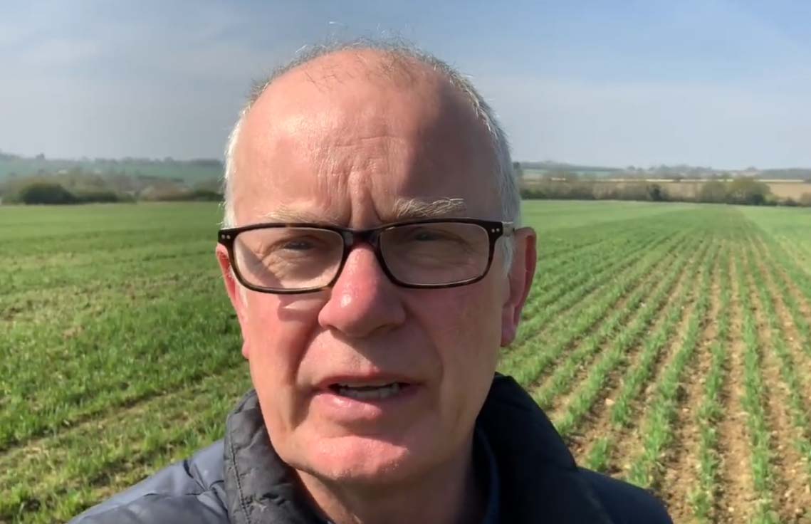 Living Mulches - Technical Guide - Agricology