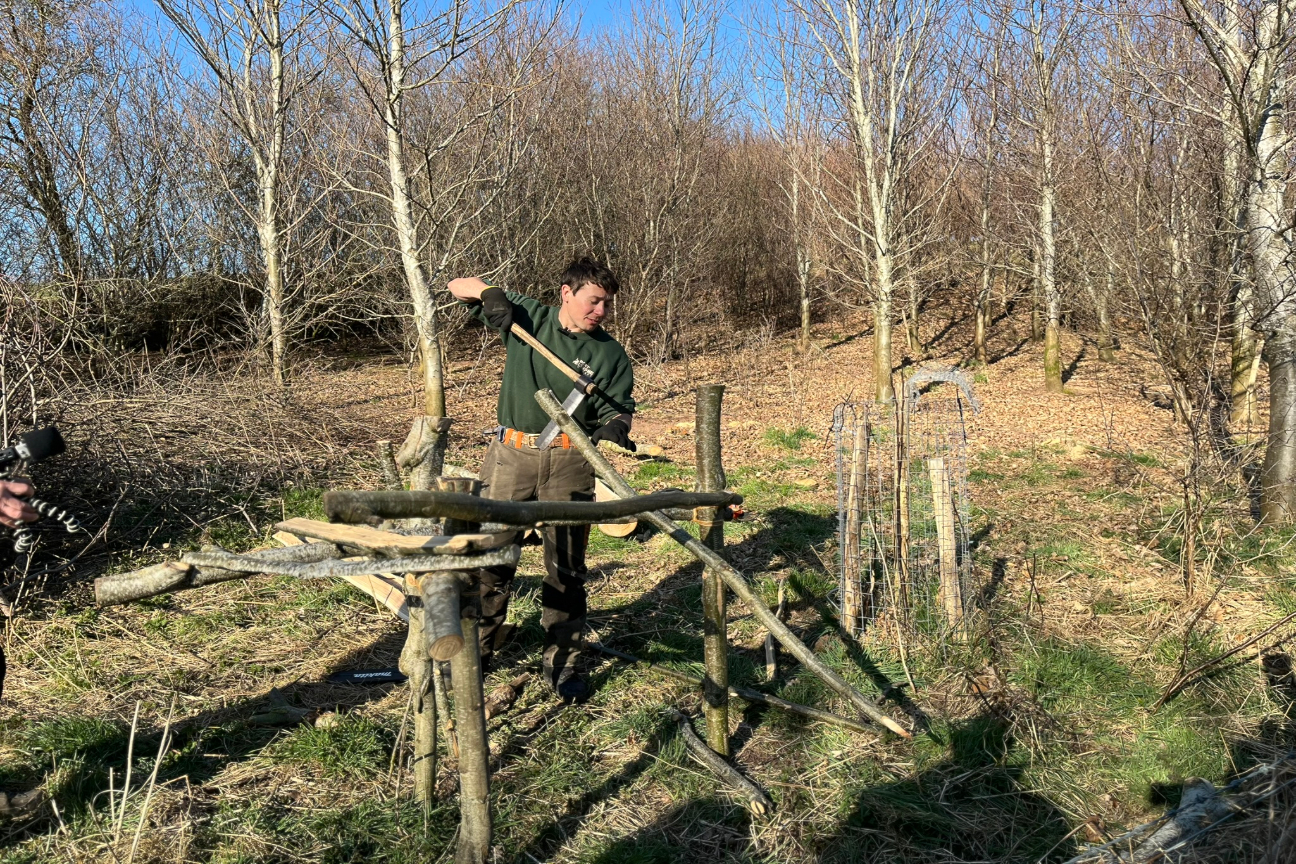 Hazel coppice, hurdles and hand tools training course - Agricology