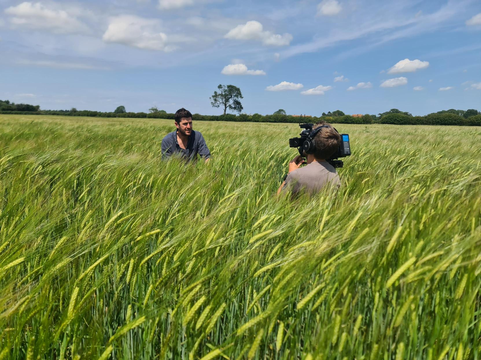 Living Mulches - Technical Guide - video - Agricology